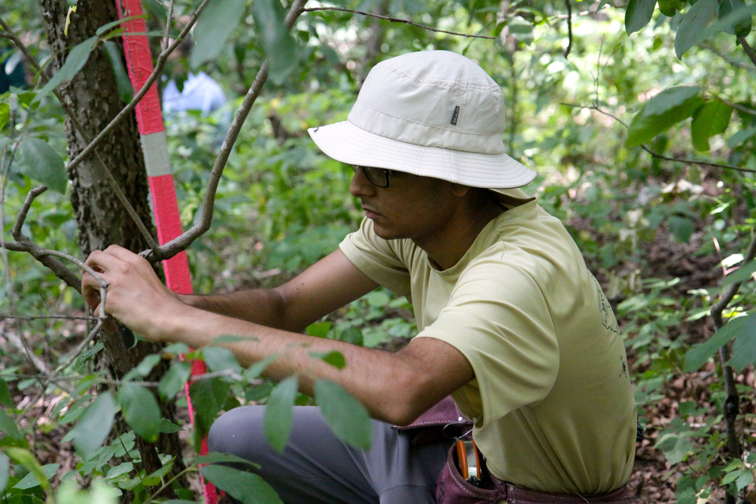 Education Overview — Tyson Research Center