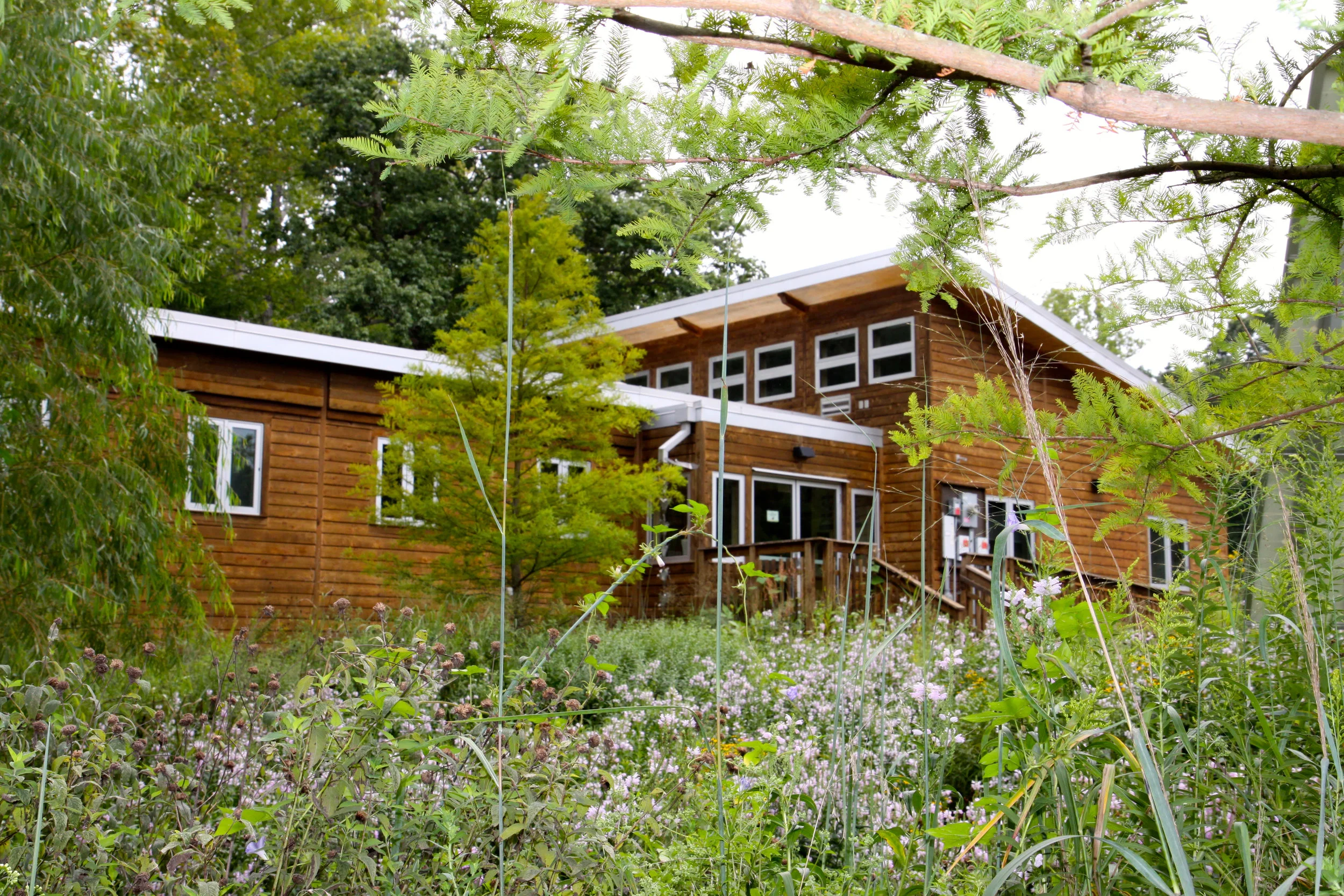 WUSTL’s Living Learning Center shares the world’s first full ‘Living ...