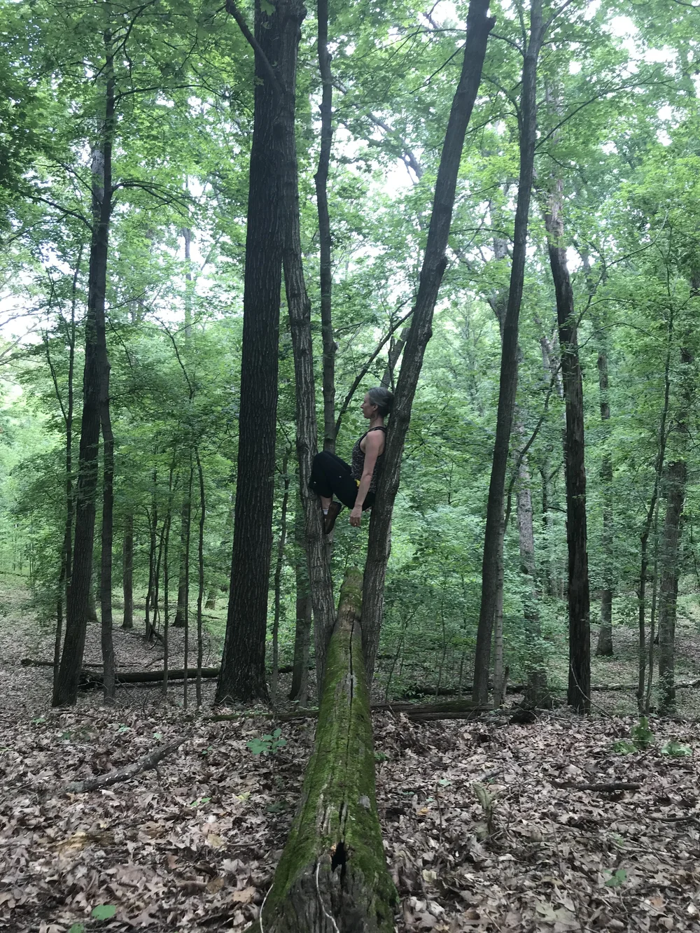 HT 2019 Holly Seitz Marchant — Tyson Research Center