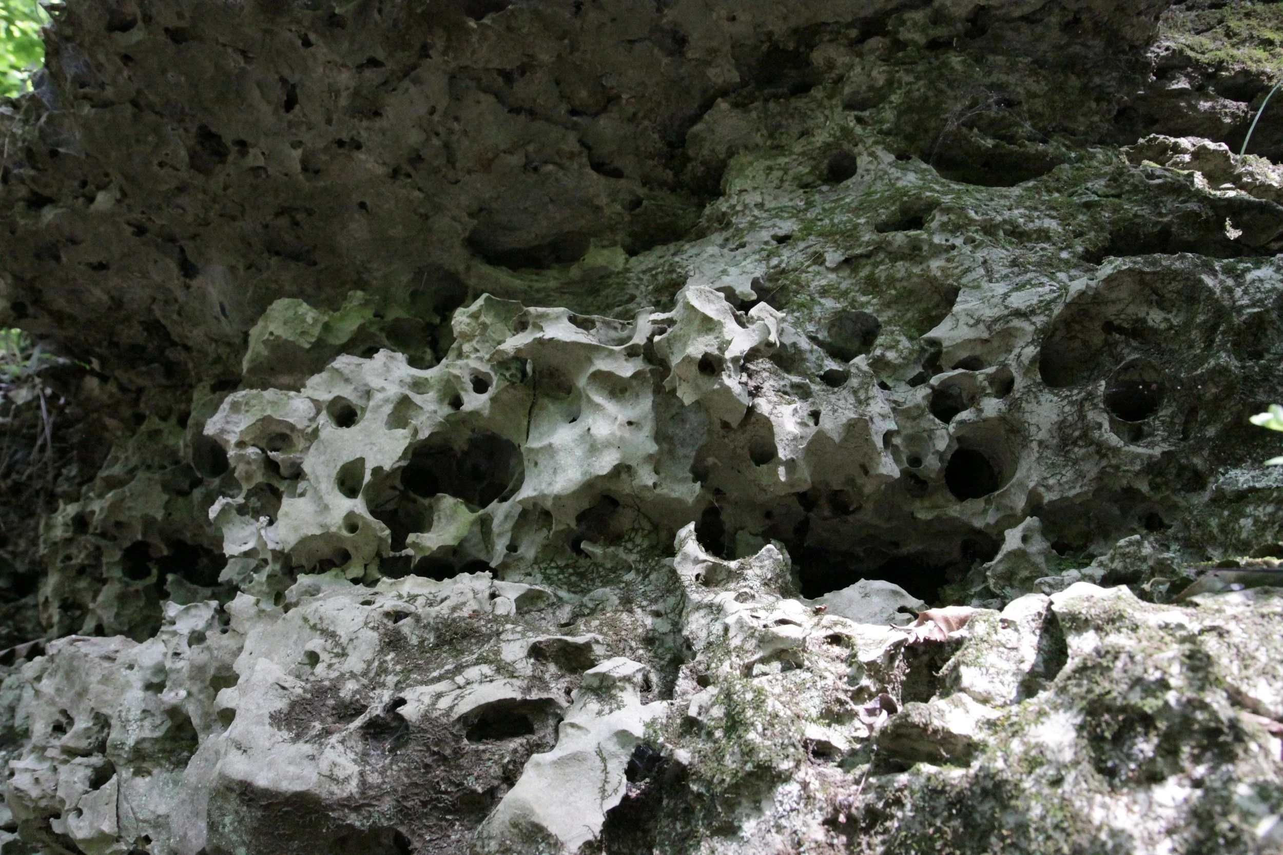 Land Acknowledgement — Tyson Research Center