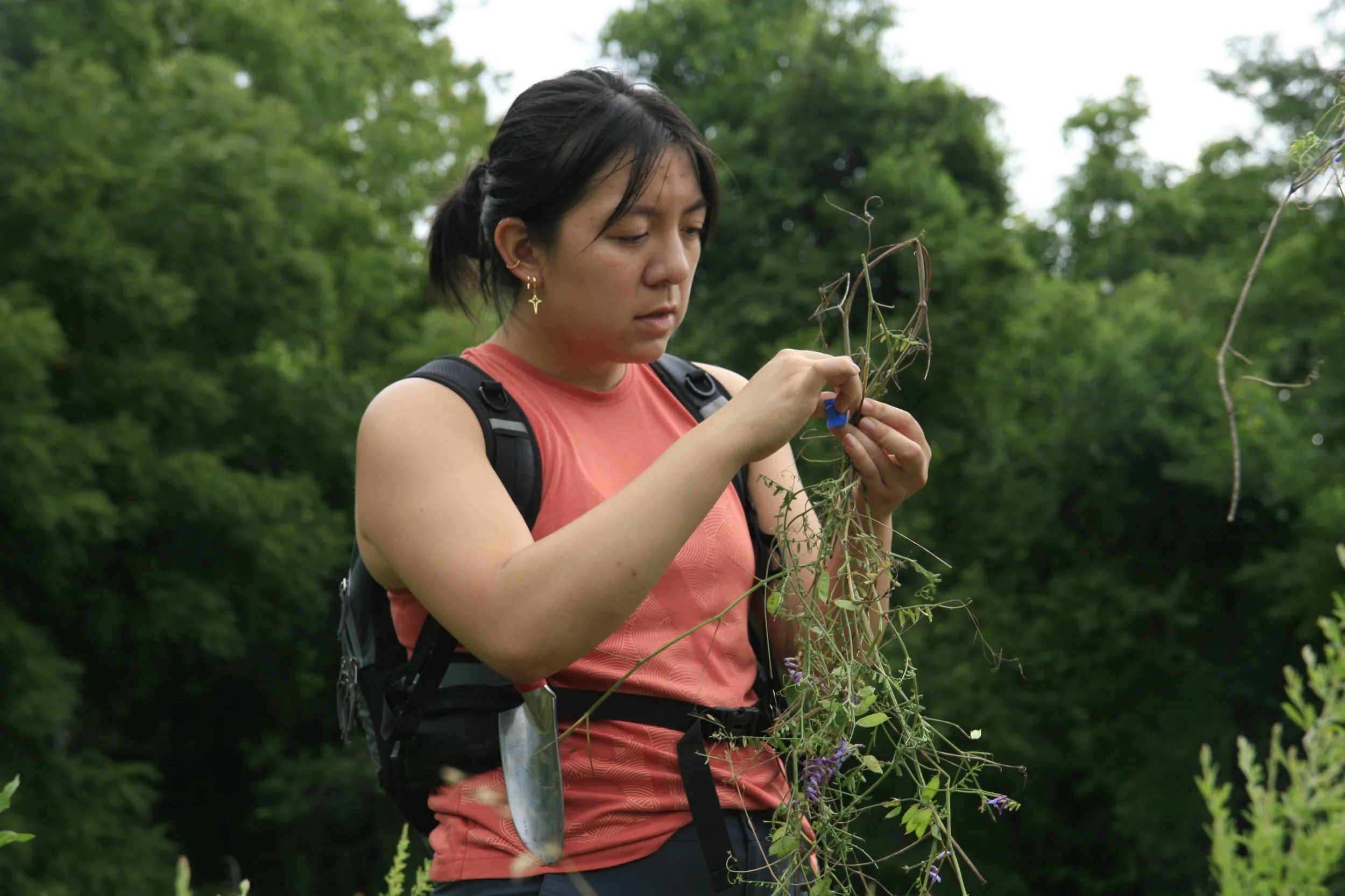 HT 2023 Emma Diaz — Tyson Research Center