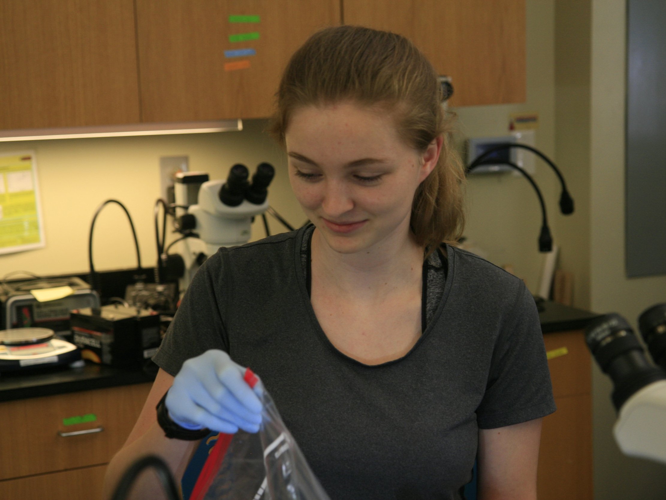 HT 2023 Laura Tayon — Tyson Research Center