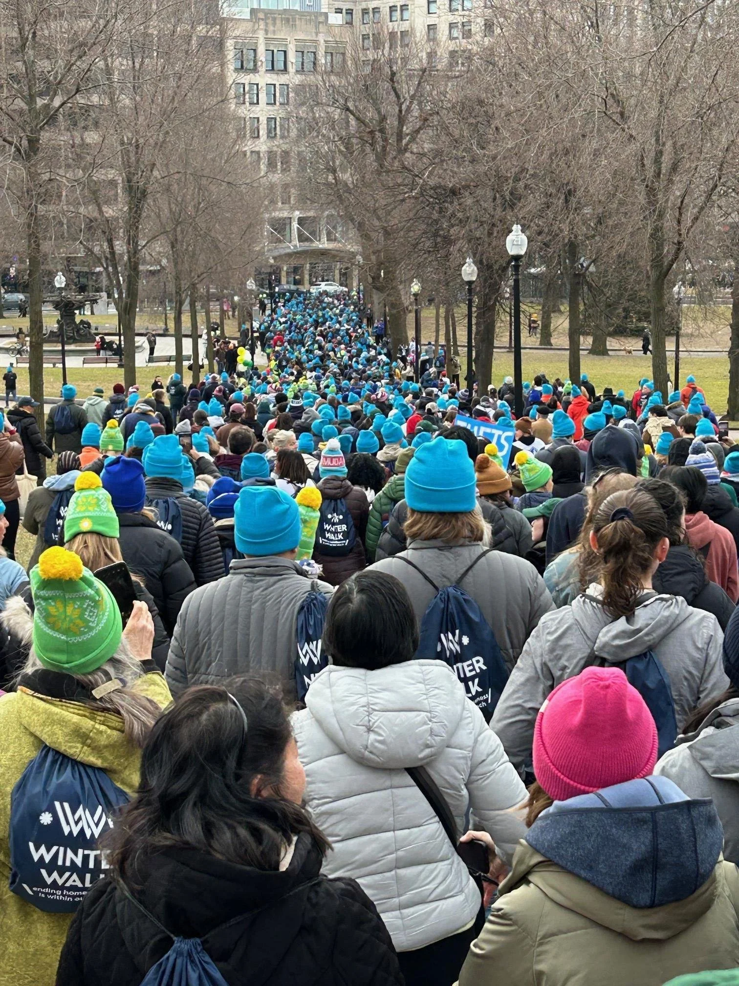 Winter Walk