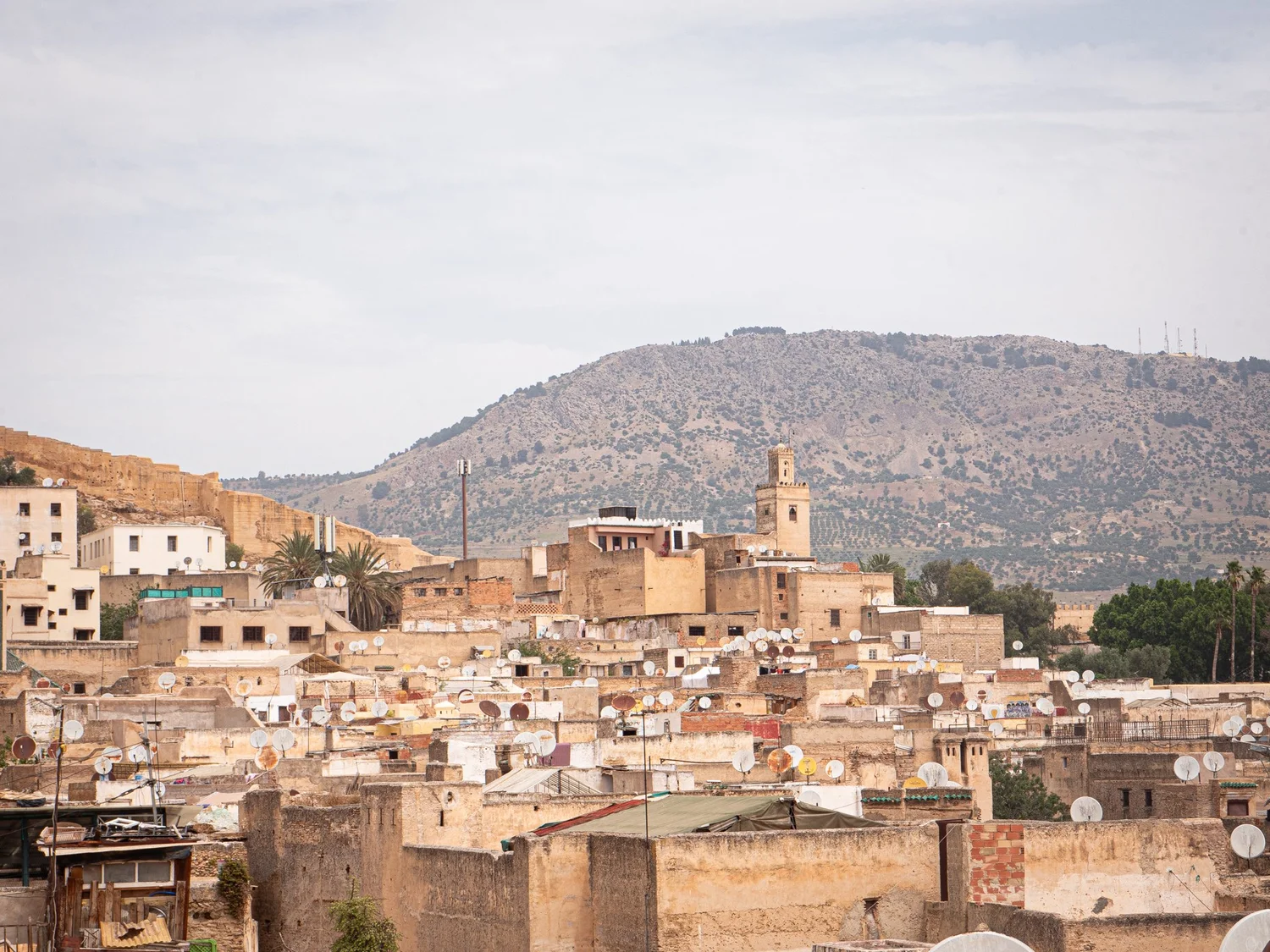 Visiter Fès au Maroc en 2 jours — L'Elephant Voyageur