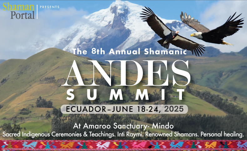 The Andes Summit