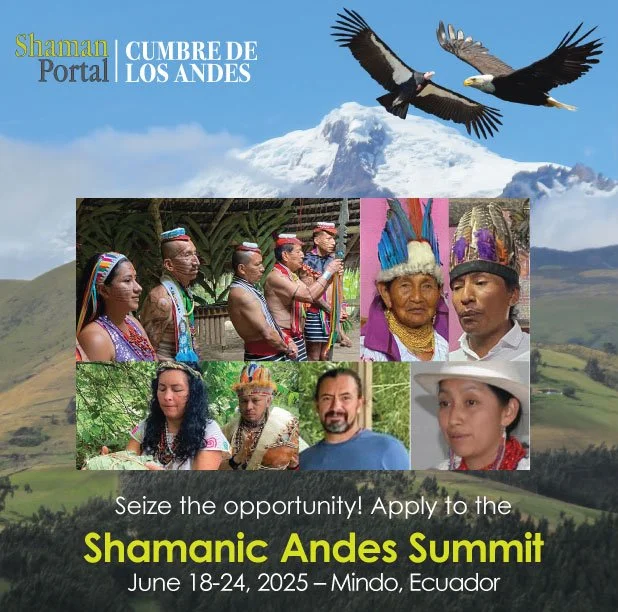 The Andes Summit
