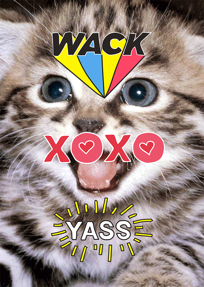 Twitter App Sticker Pack — Kevin Peth