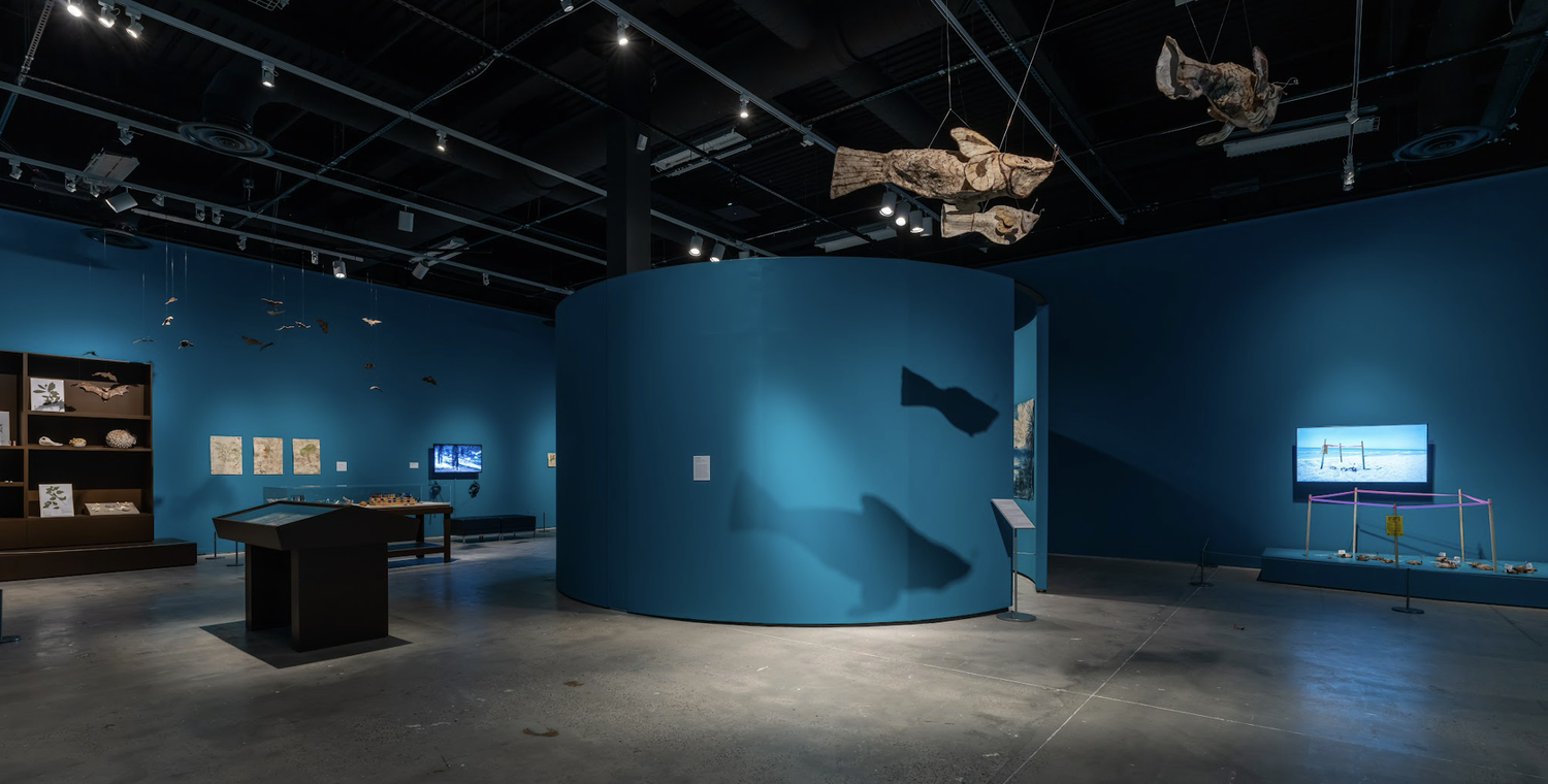 Sandy Rodriguez: Currents of Resistance 2025 — Sandy Rodriguez