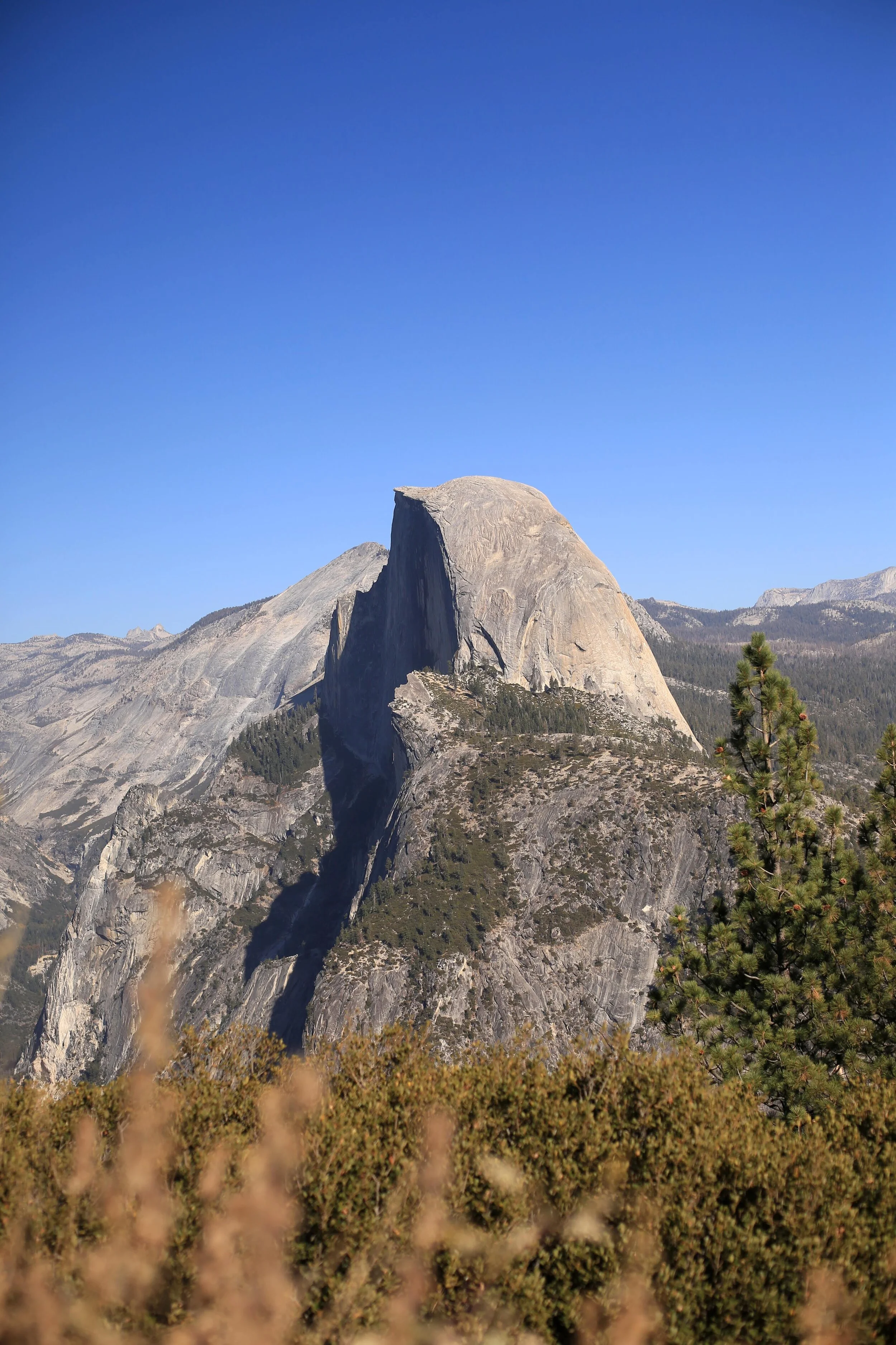 Yosemite in Fall — Melissa Joy Creative