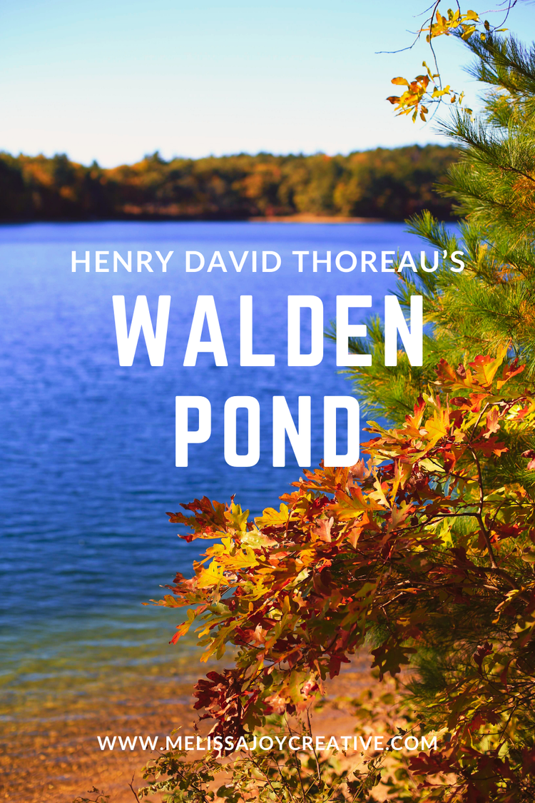 Walden Pond — Melissa Joy Creative