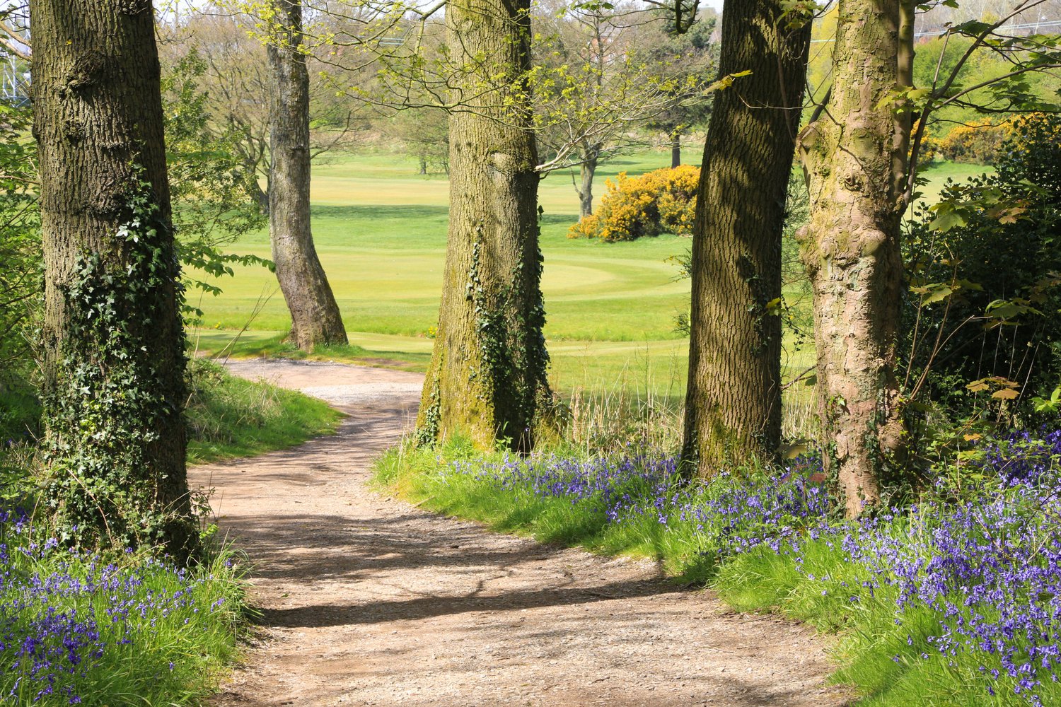 Photo Gallery — Penwortham Golf Club