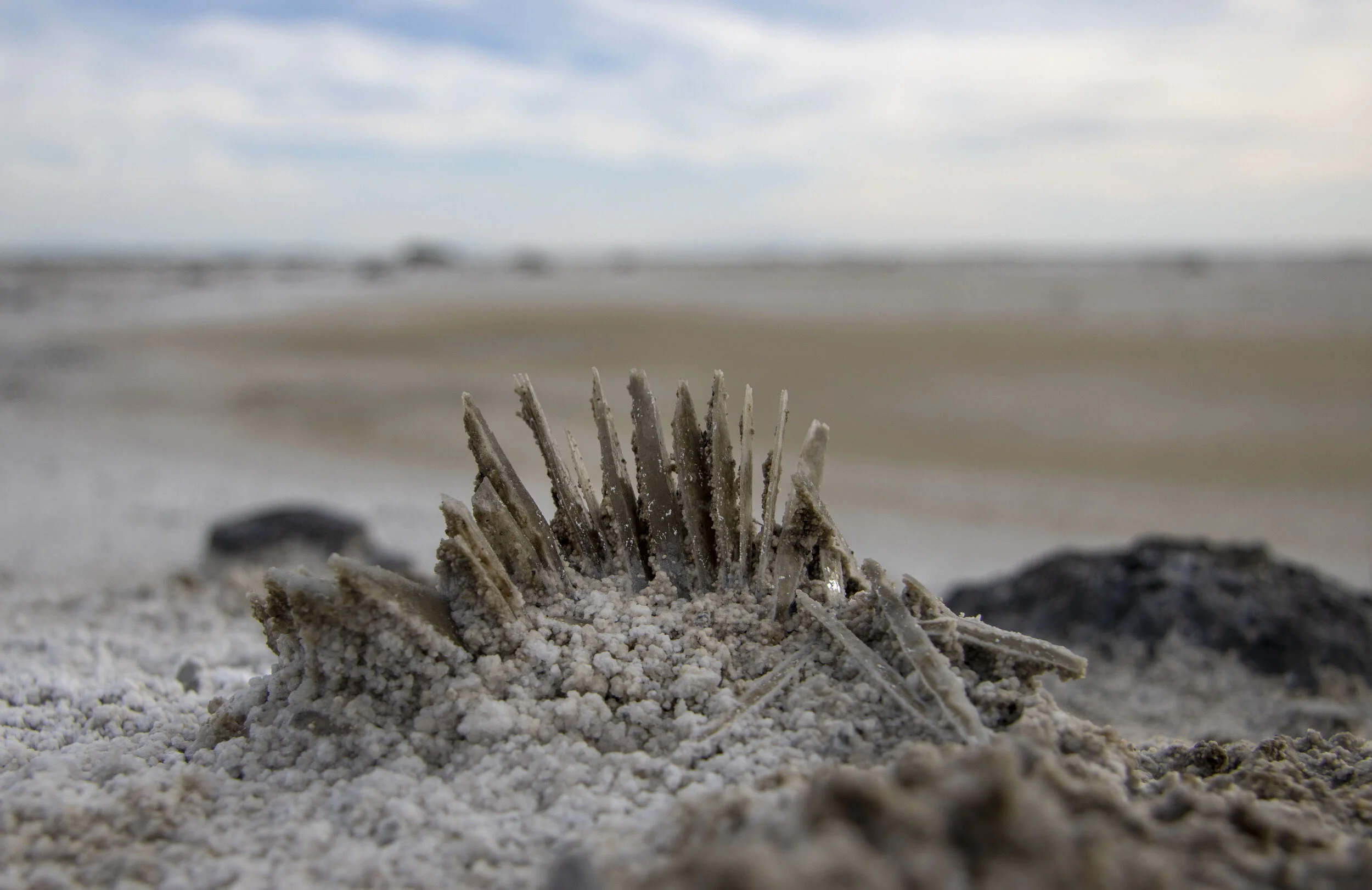 Searching for Selenite crystals in Utah — Natalie Behring Photography