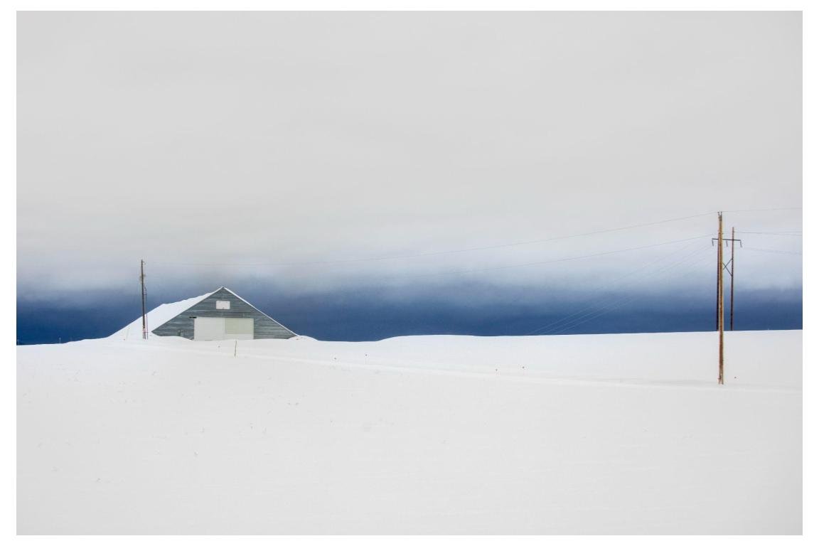 Natalie Behring Photography