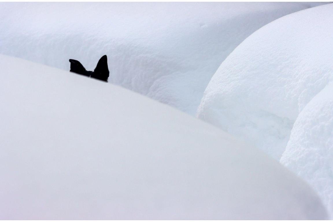 Natalie Behring Photography