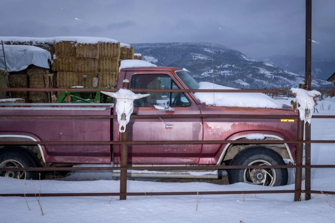 Natalie Behring Photography