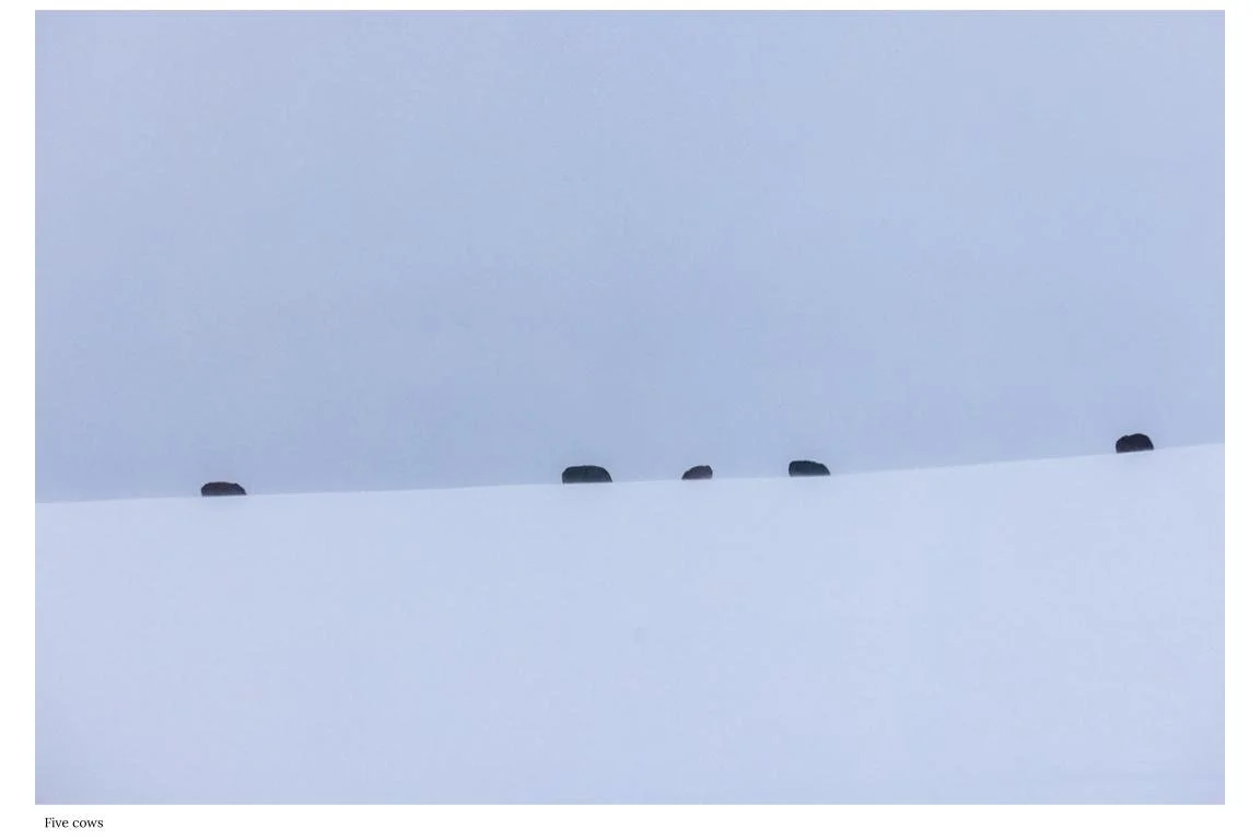 Natalie Behring Photography