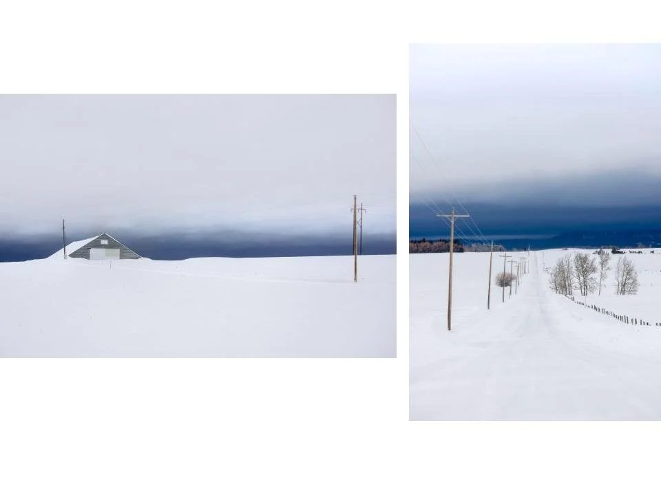 A Mild Winter — Natalie Behring Photography