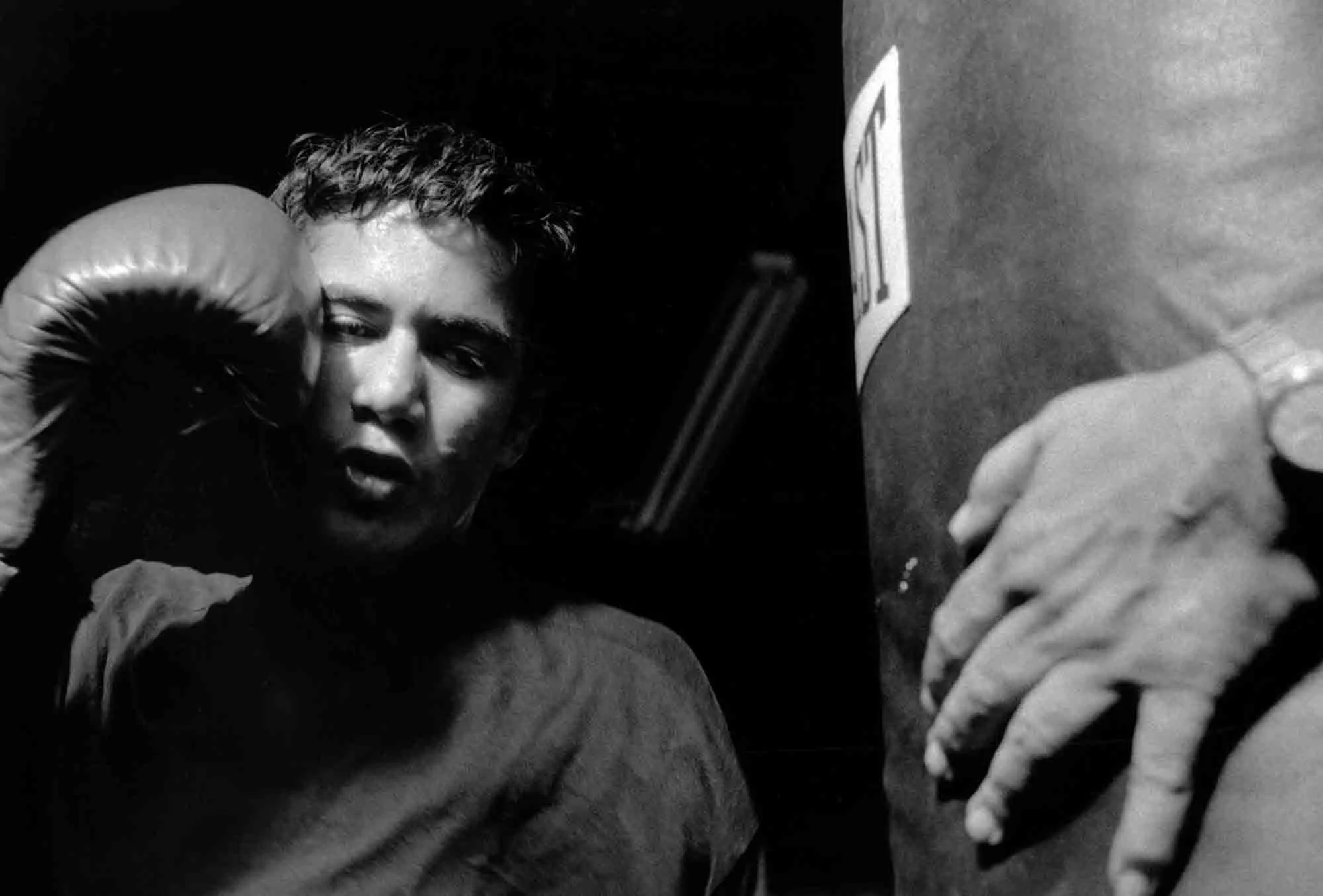 boxing — Steve Molnar Photography