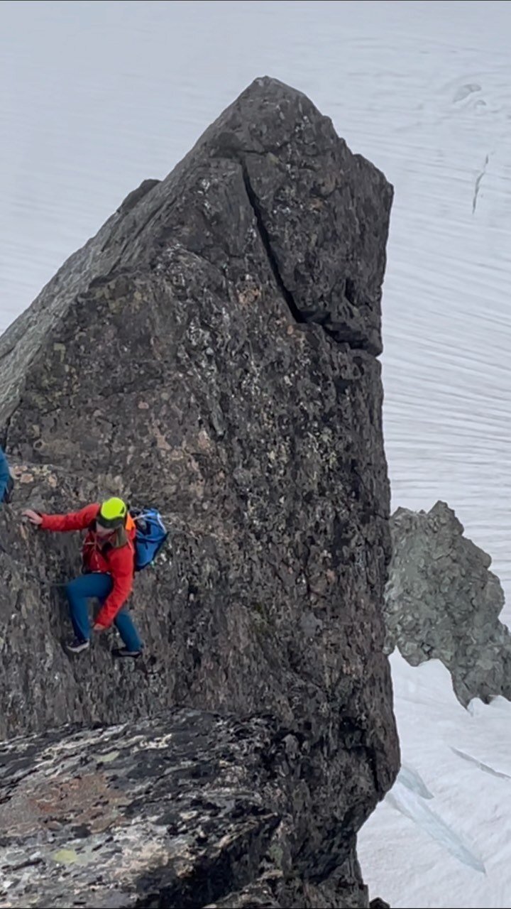 Julia Niles — Rock Solid Guides