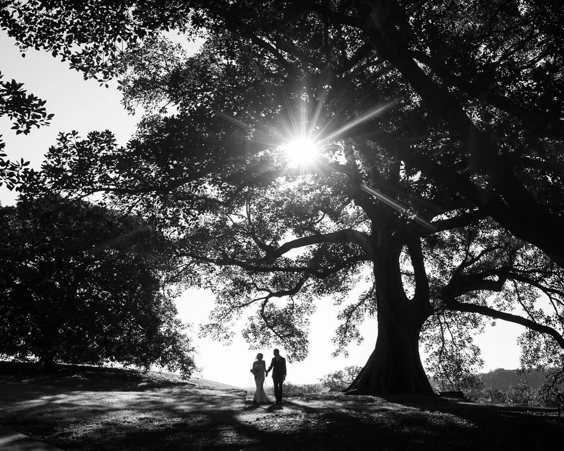 Society Photography - Sydney Wedding & Portrait Photographers