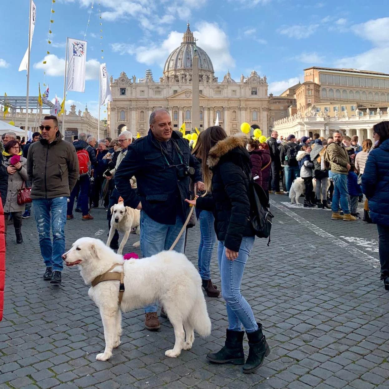 Animals blessed at Vatican — TravelAngel