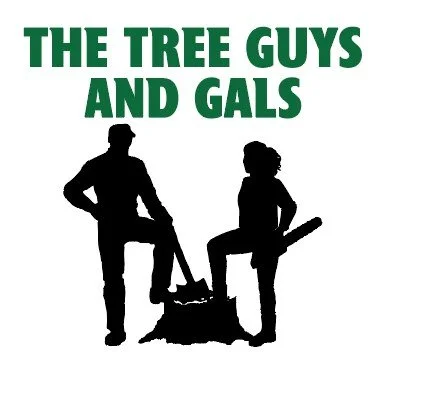 The Tree Guy and Gals I Full Spectrum Tree Service I Bellingham, WA