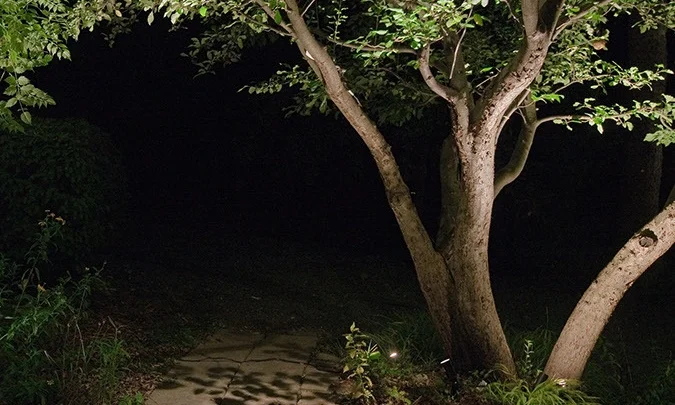 TEAM — Light Insight Design Studio