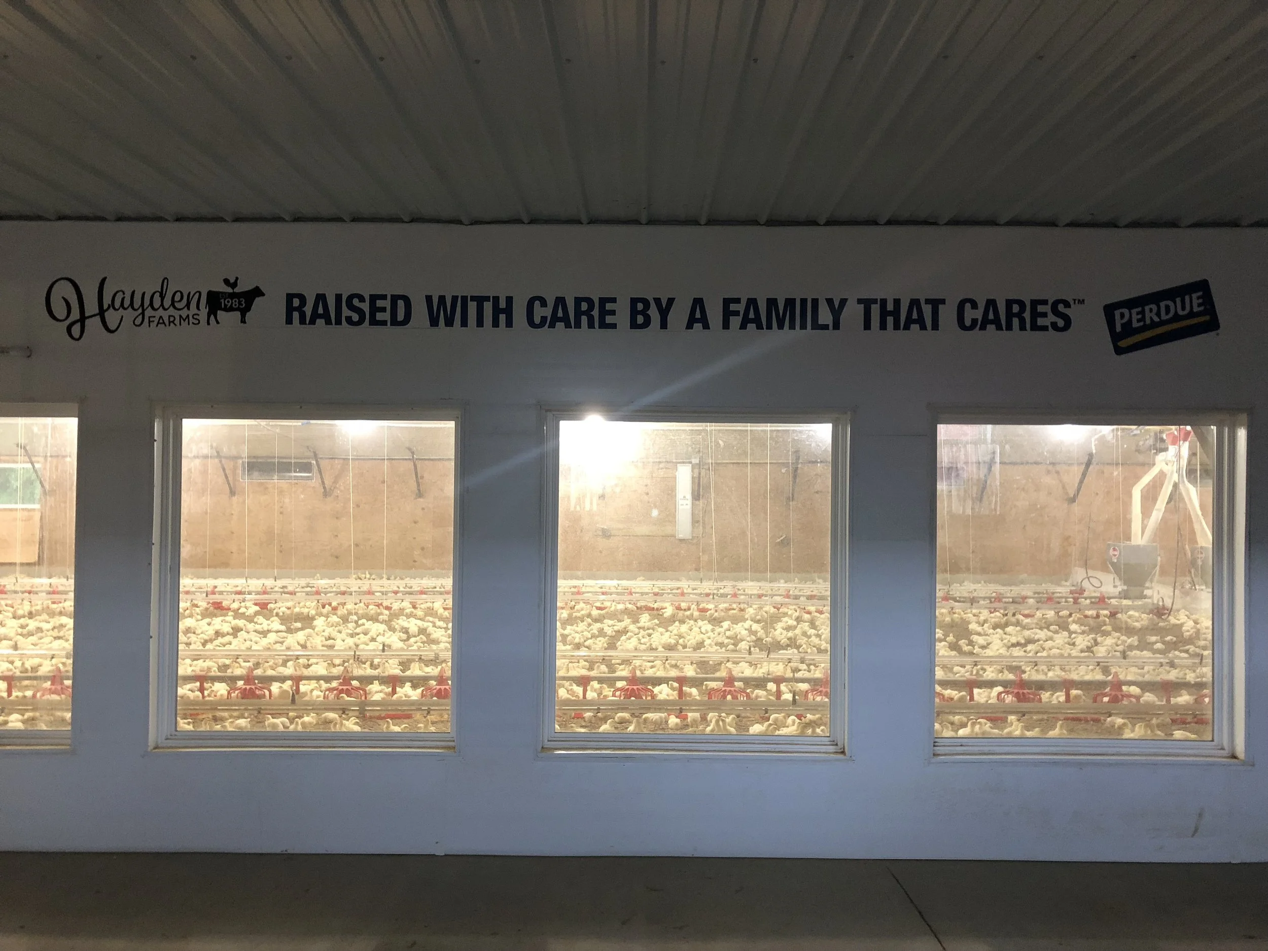 Scheduling a Tour & What to Expect — Hayden Farms