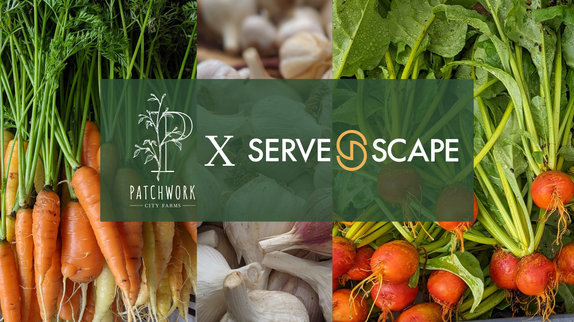 Patchwork City Farms