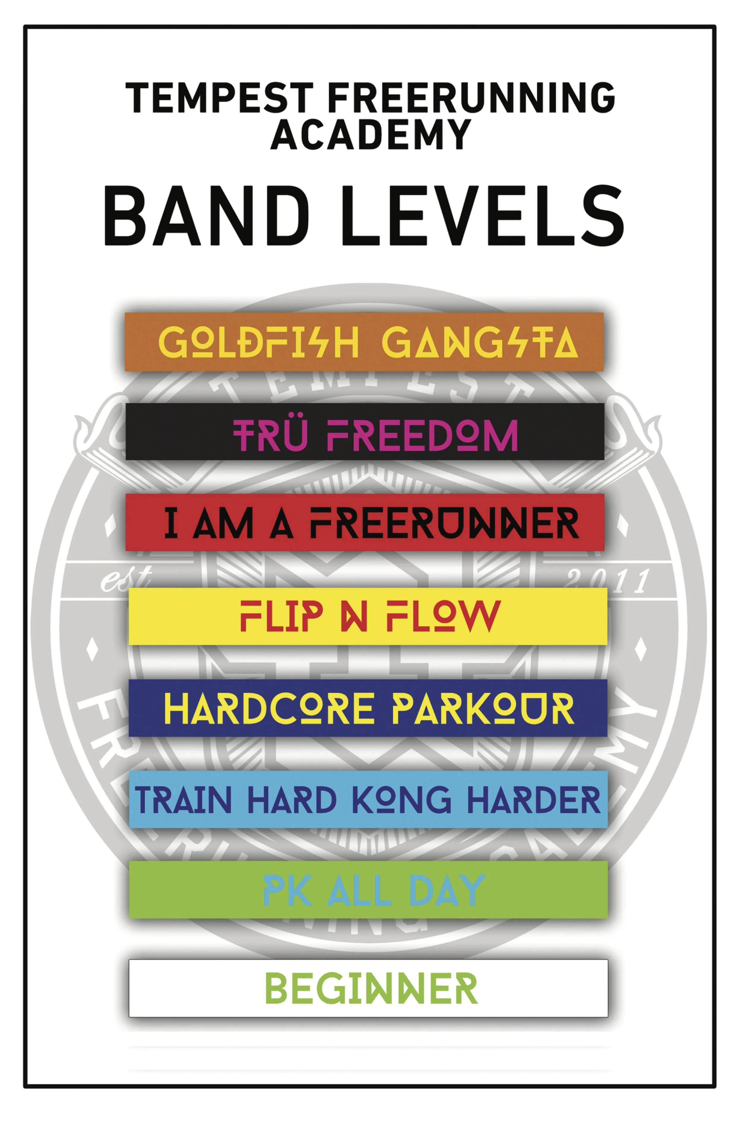 Welcome New Members — Tempest Academy