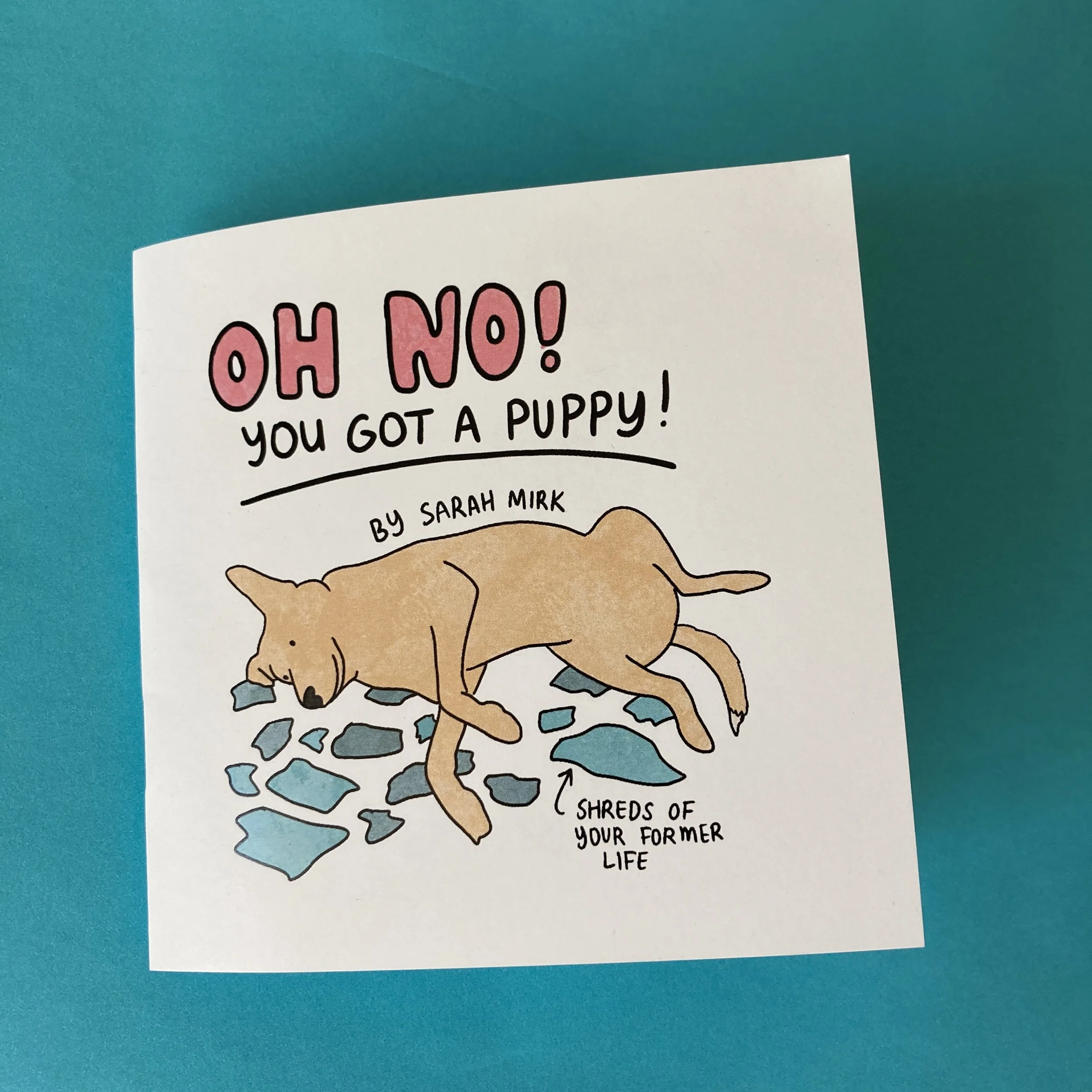 Buy Books & Zines — SARAH SHAY MIRK