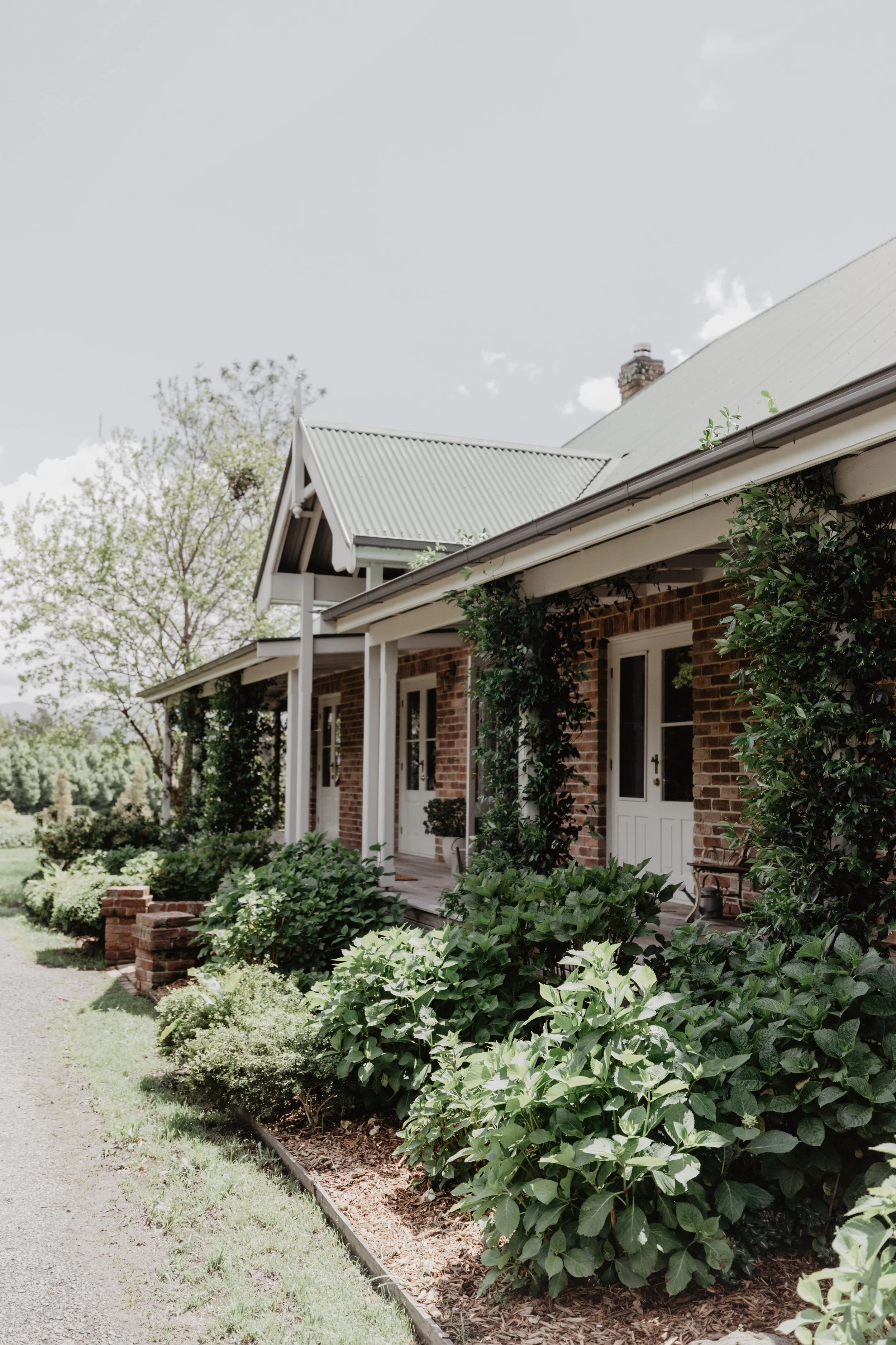 Berry - Moraea Farm — MANTICORE PROJECTS