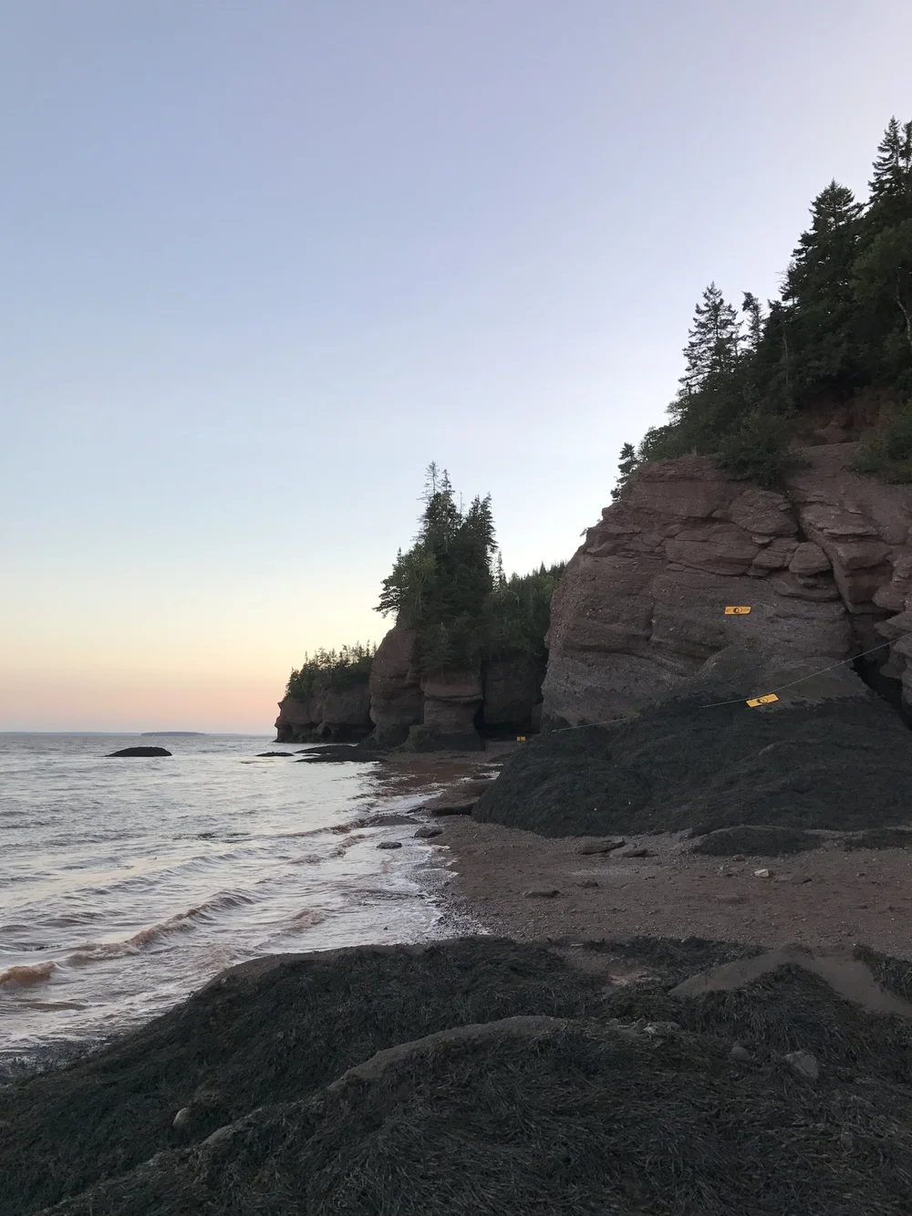 Beautiful Bay of Fundy — Cabin Fever Bus