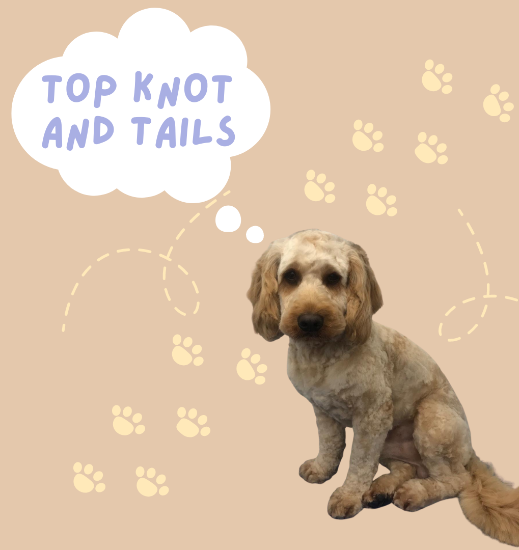 What Is A Knot On A Dog