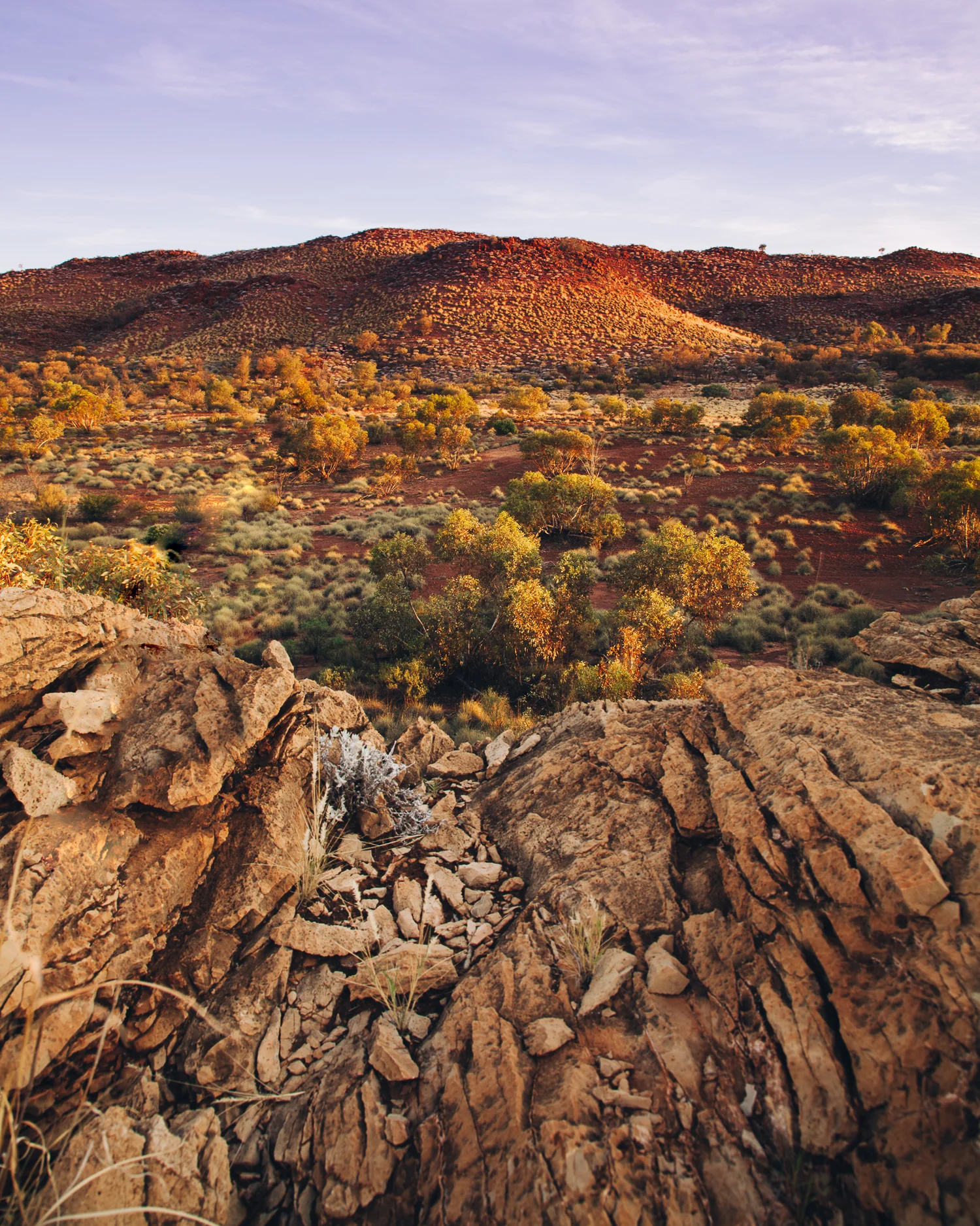 Alice Springs — Andrew Northover