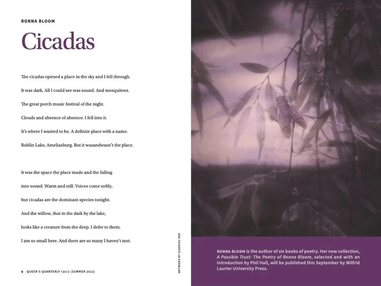 A Poem in Queen's Quarterly: Cicadas | Ronna Bloom