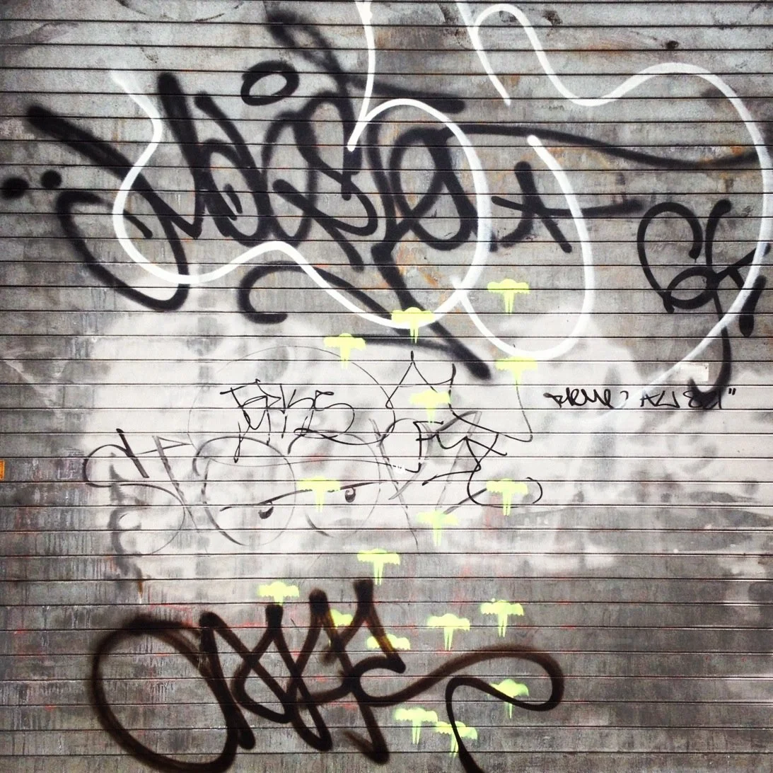 About — AVRAM RUSU STUDIO