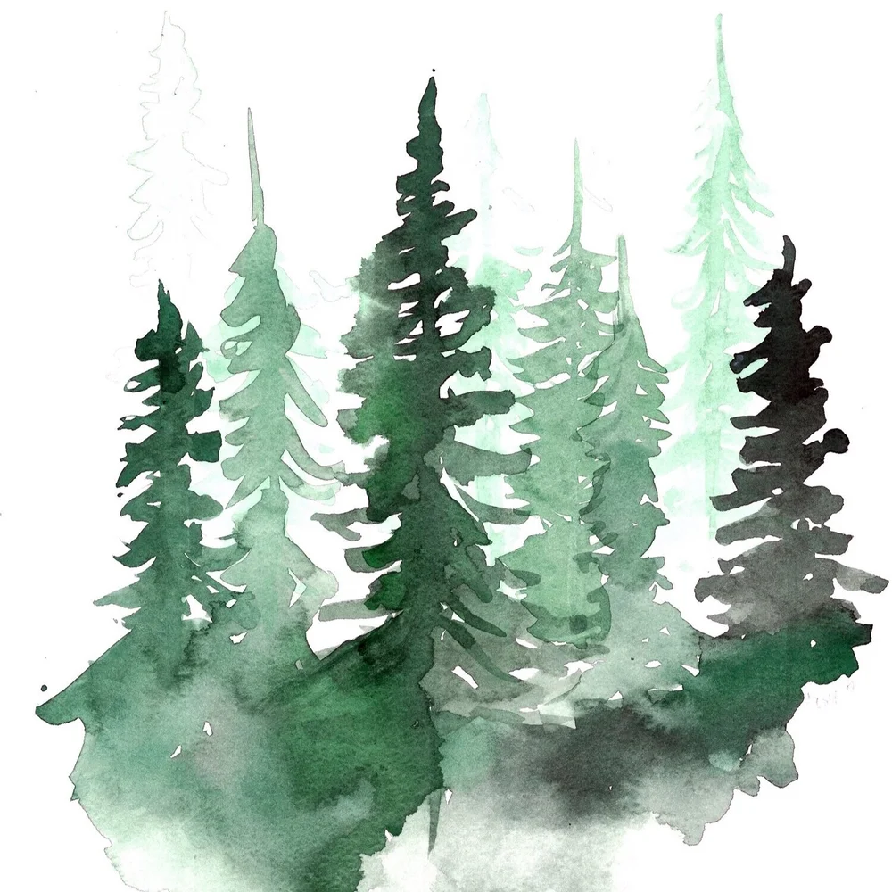 Pine Forest Watercolor — LaCott Fine Art