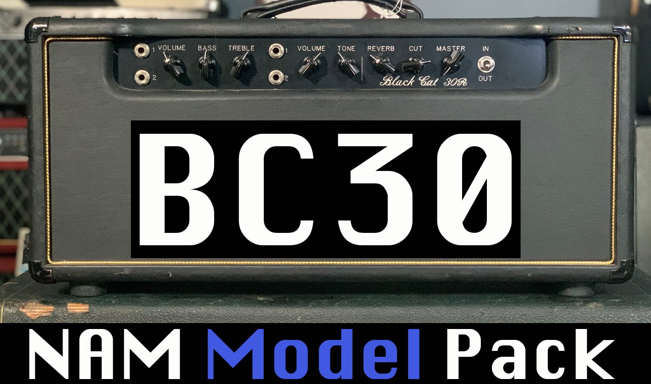 Neural Amp Modeler Packs — Official Tone Junkie Store