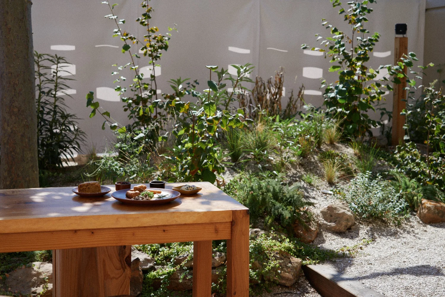 Cafe Ohlone — mak-'amham/Cafe Ohlone
