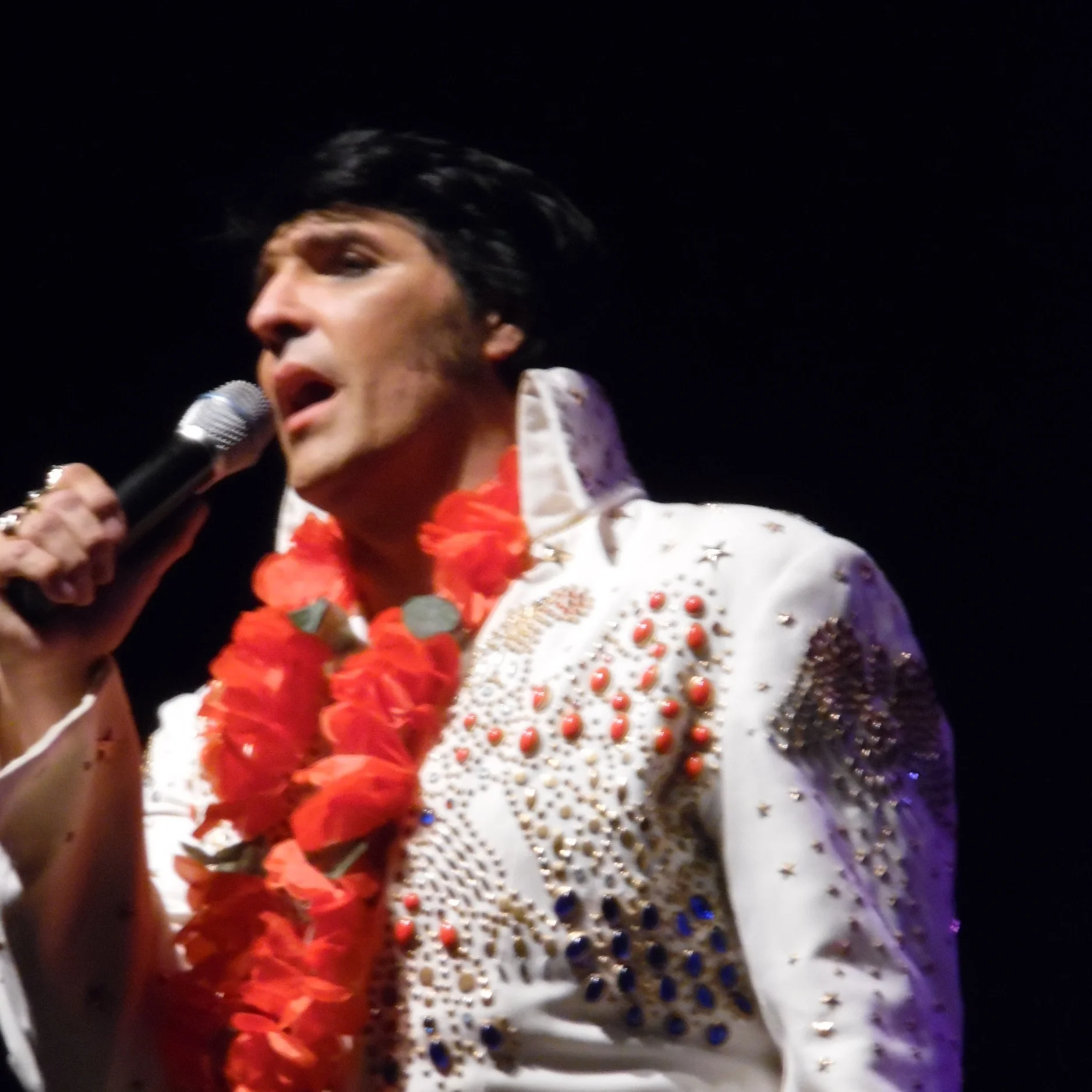 ETA Photo Album #1 — SIDEBURNS