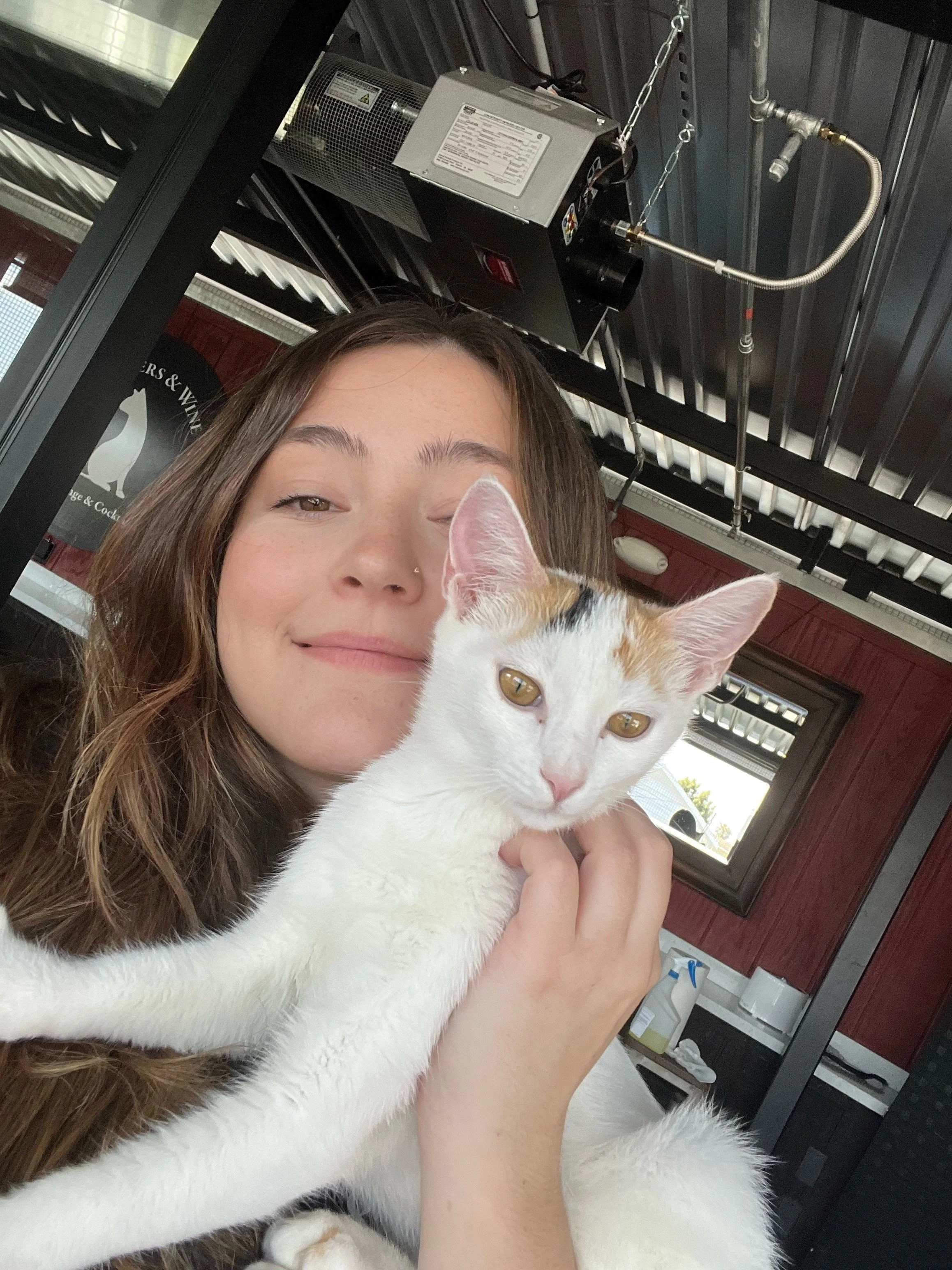 Our Team — Whiskers and Wine