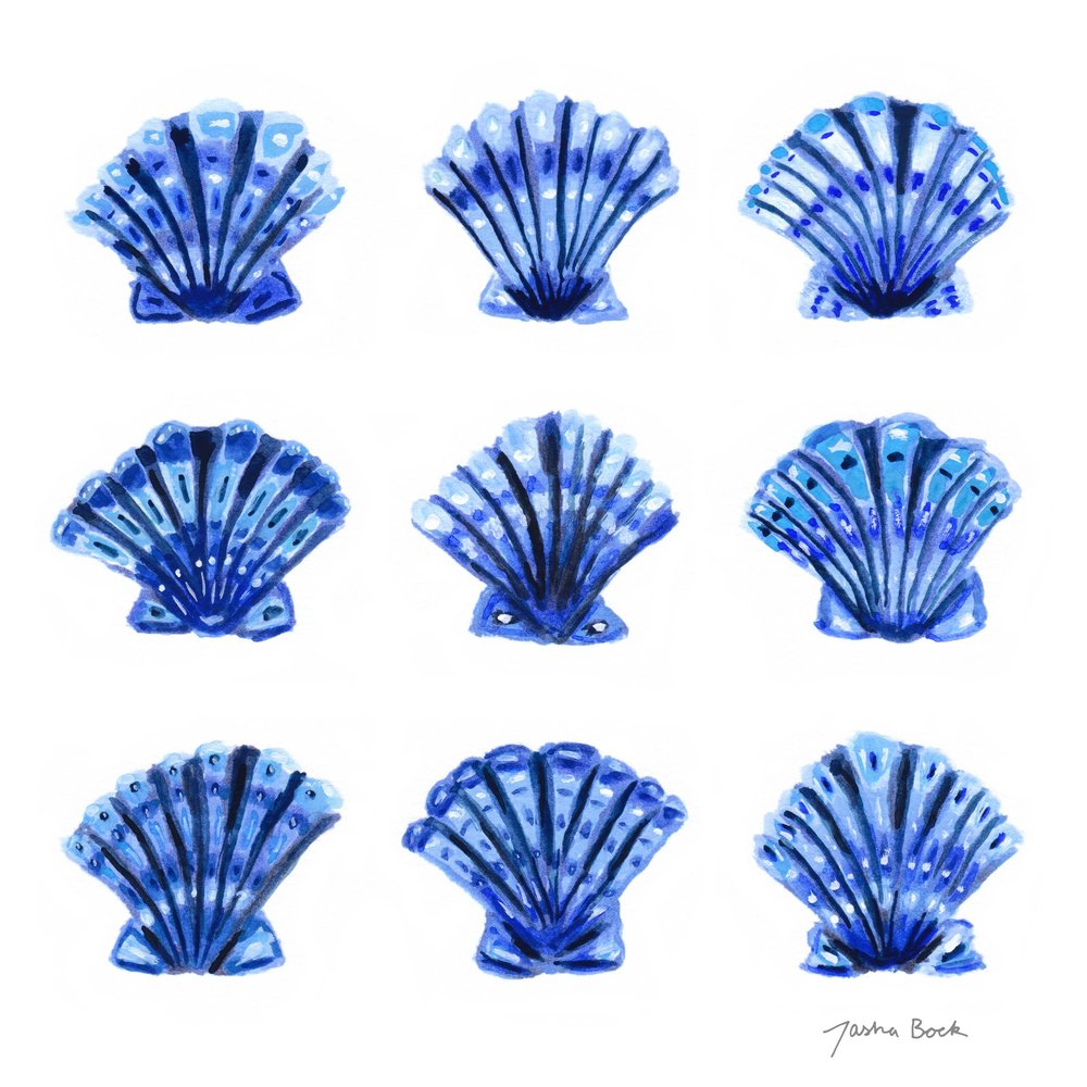 Blue Seashells Clipart