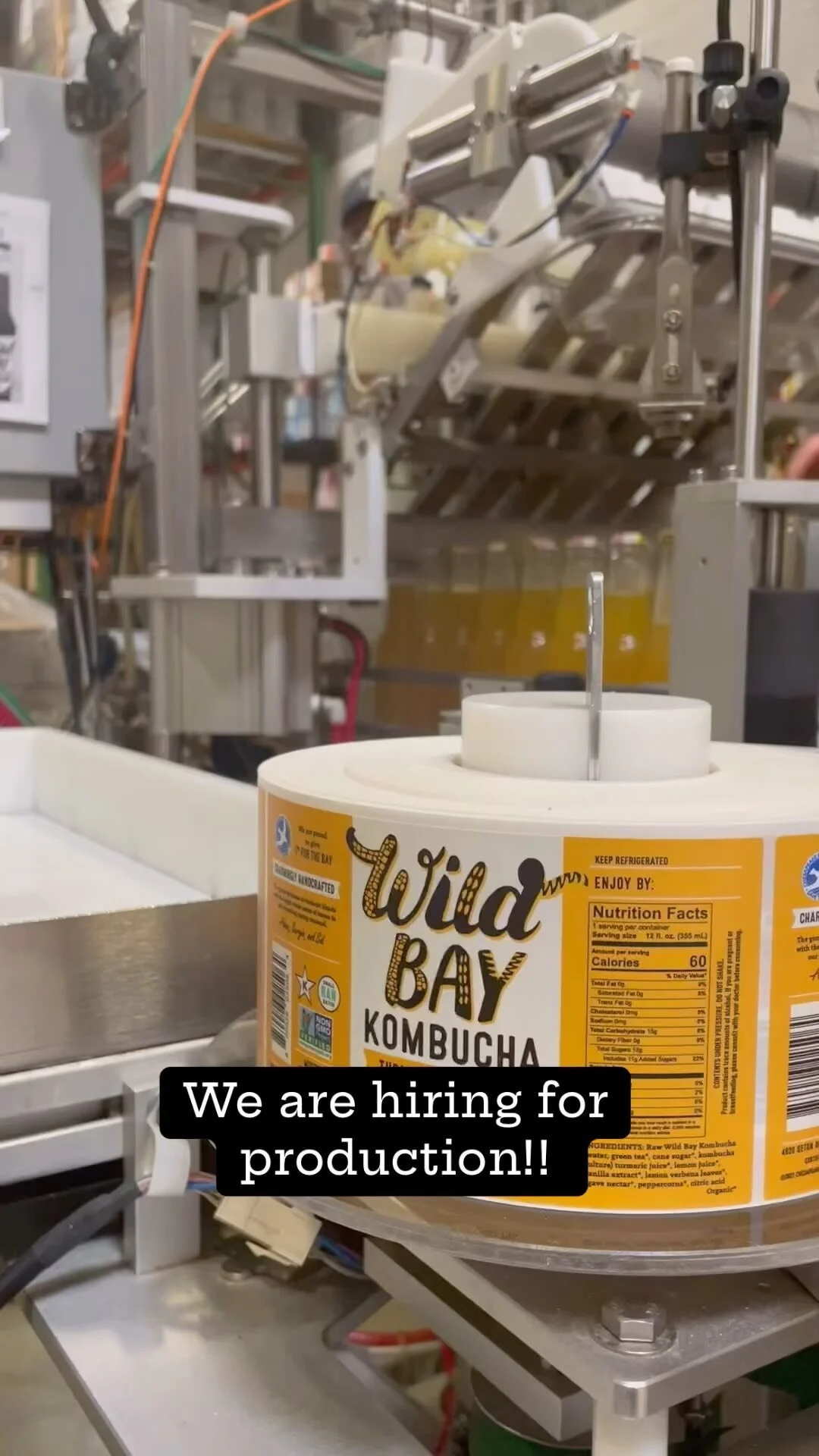 Wild Bay Kombucha