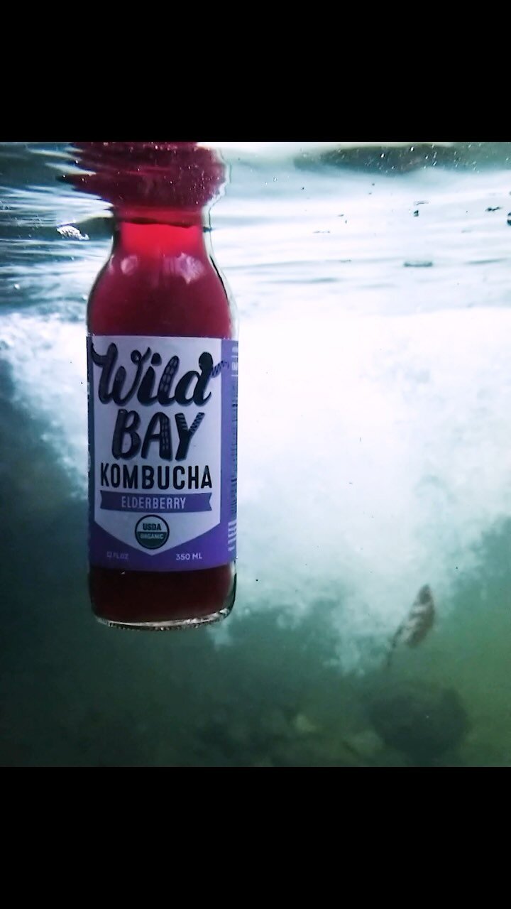 Wild Bay Kombucha