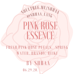 Sari Not Sari Store — Soultree