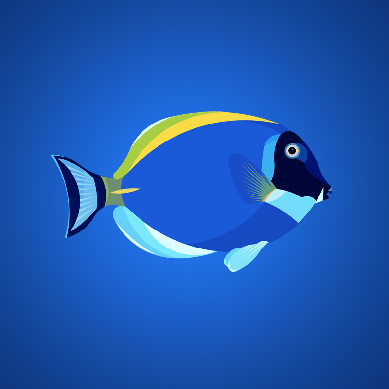 Blue Fish Illustration — FRart