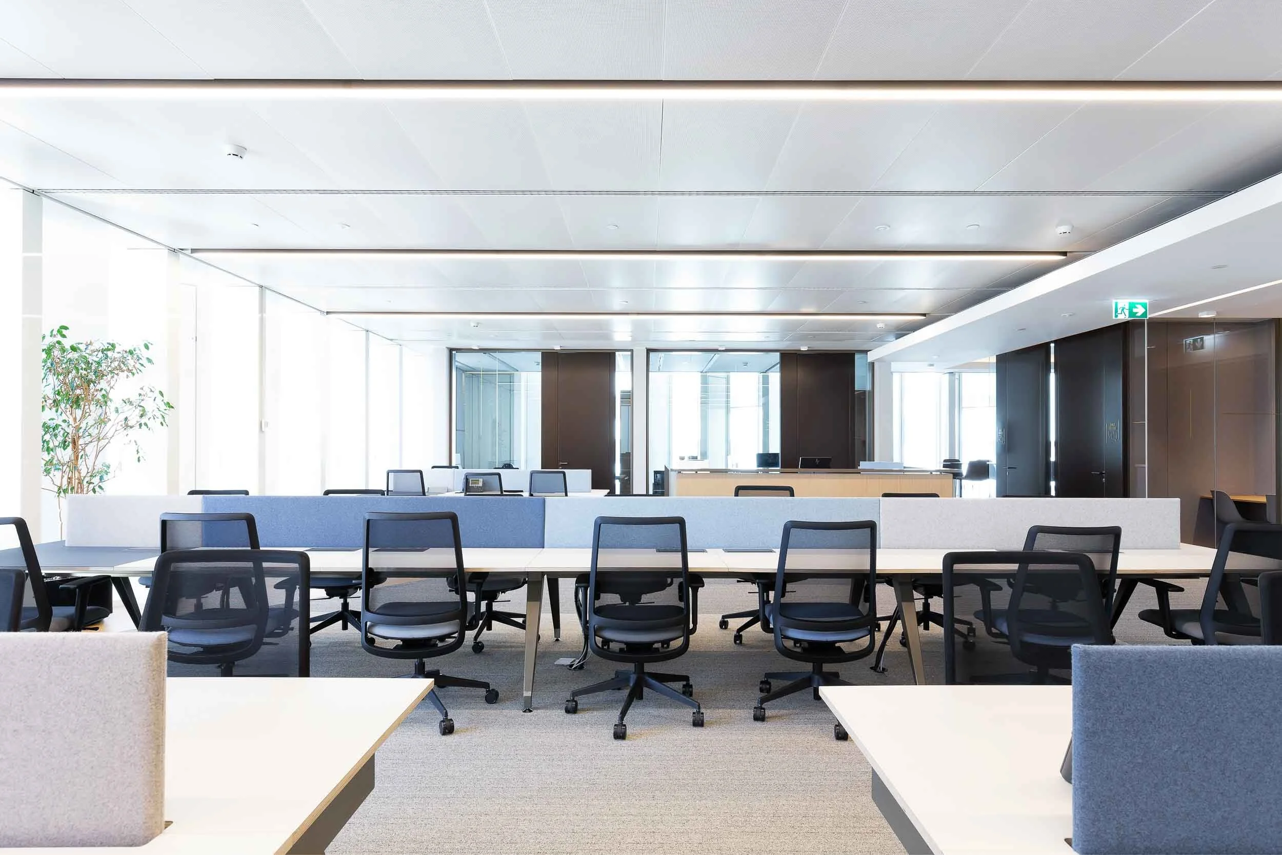 KPMG — Vector Mais