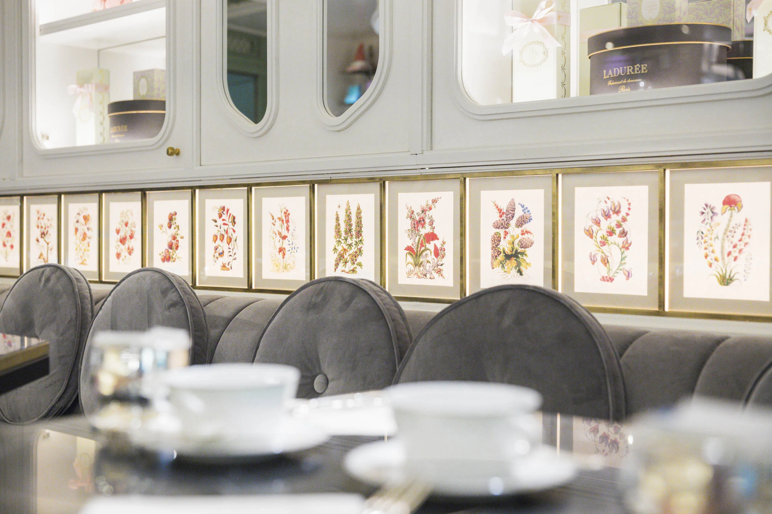 Ladurée EN — Vector Mais