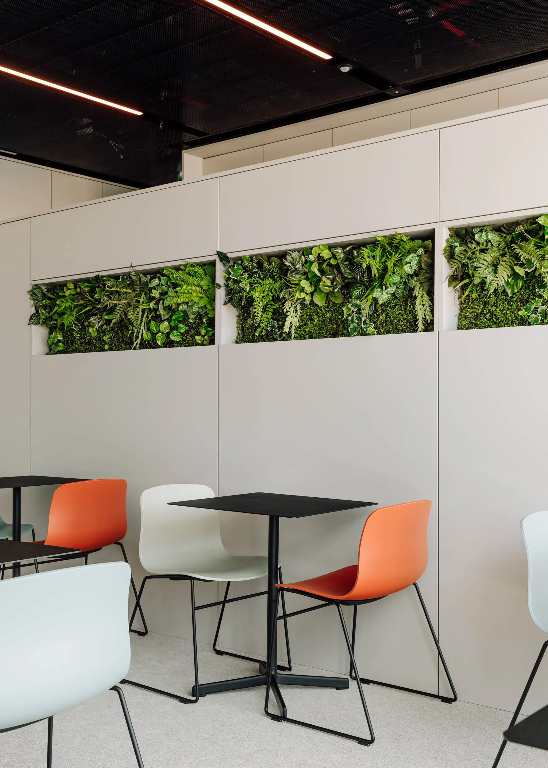 PLMJ Porto — Vector Mais